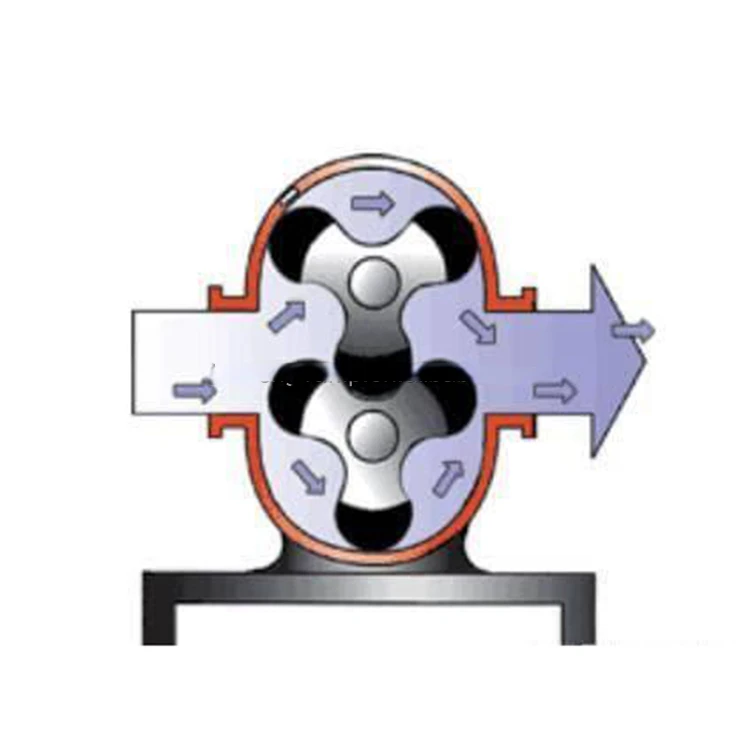 Lobe Pump Animation