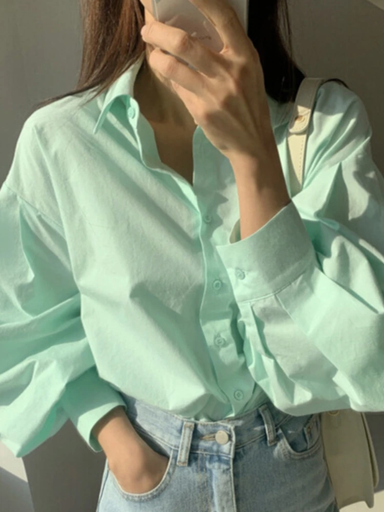 Mint Green Blouse Outfit