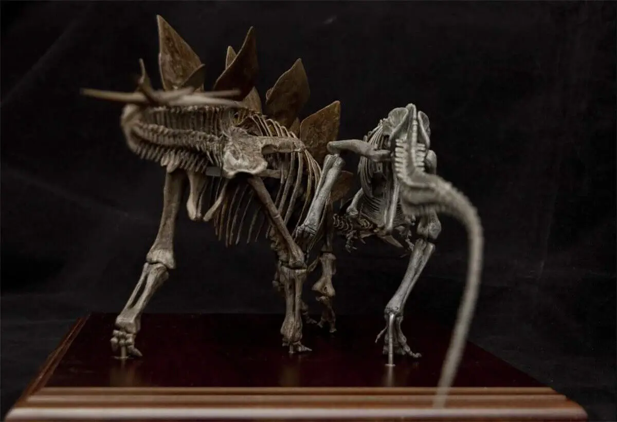 Allosaurus Skeleton Model