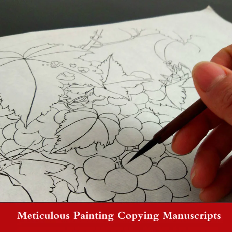 Meticulous Drawing