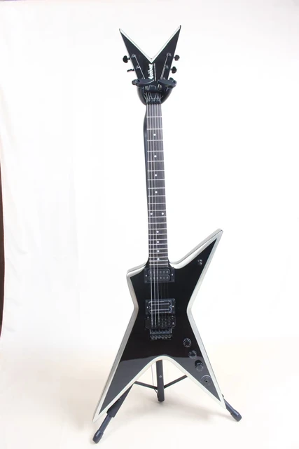 Dimebag Washburn Guitar