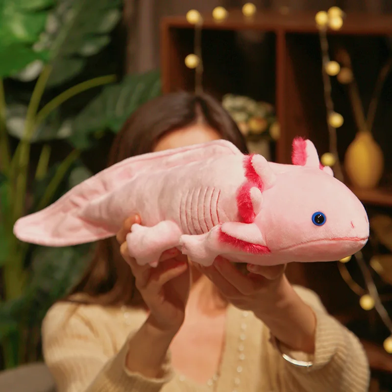 Cartoon Axolotl Plush Axolotl Plush Realistic Ambystoma, 42% OFF