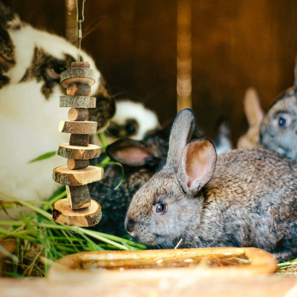 Teeth-Grinding-Toys-Wood-Chew-Toys-Cage-Accessories-For-Small-Pets-Rats ...