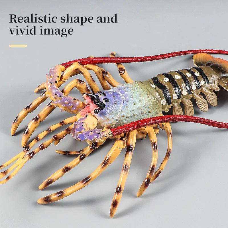 Plastic Fish Realistic Lobster And Crab Life Cycle Toys For Marine ...