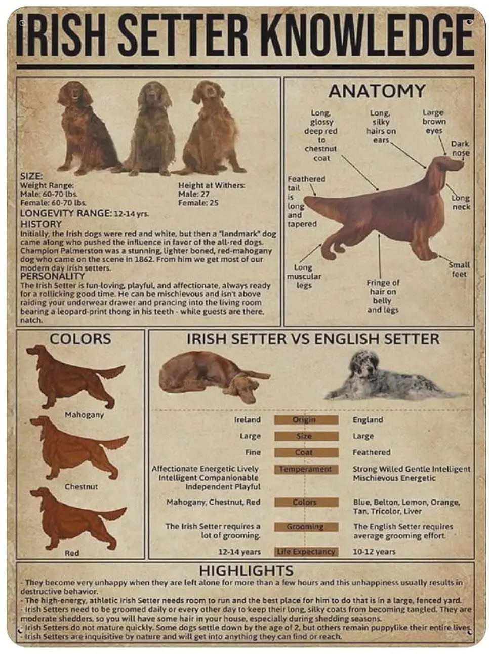 Irish-Setter-Knowledge-Metal-Tin-Sign-Artwork-Poster-Outdoor-Sign ...
