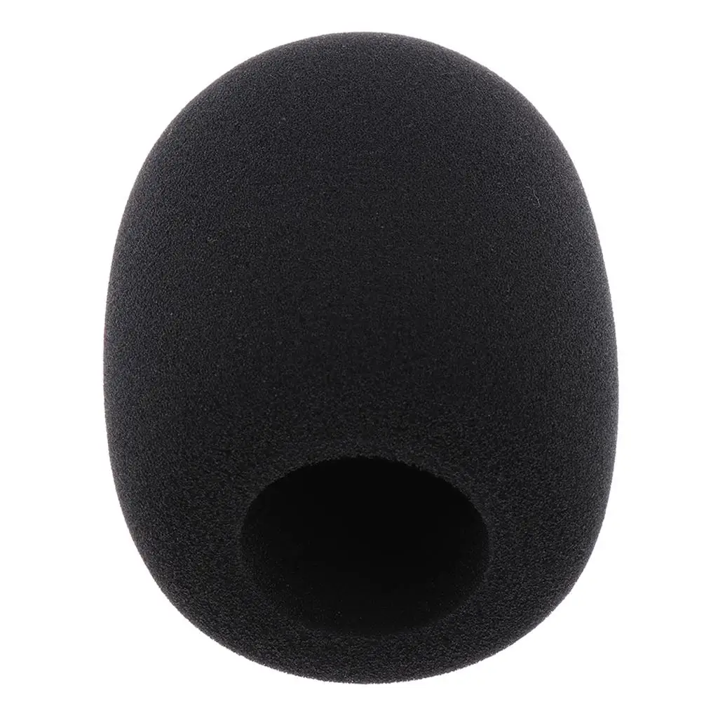 Large Microphone Sponge Foam for Condenser Microphone with 5 Cm ...