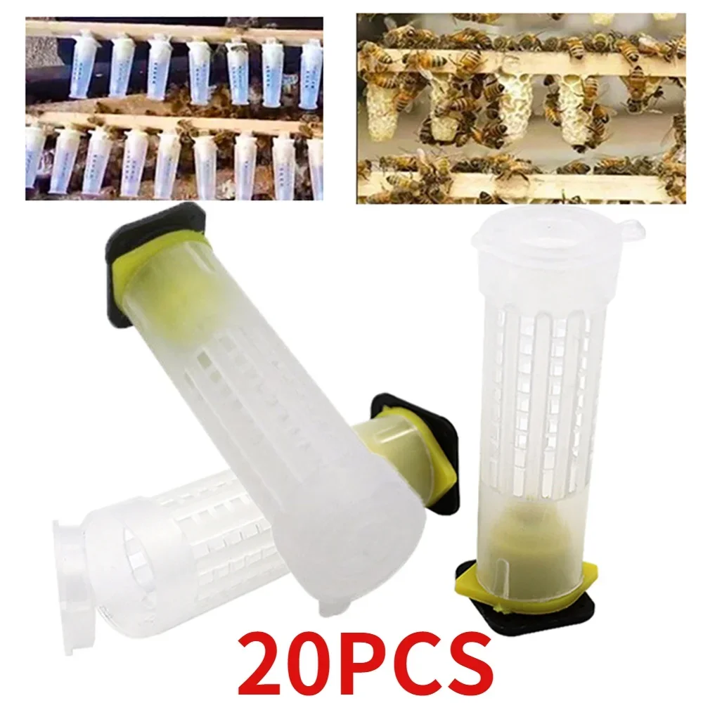 20PCS-Queen-cage-rearing-cover-catcher-queen-plastic-cells-bees-box ...