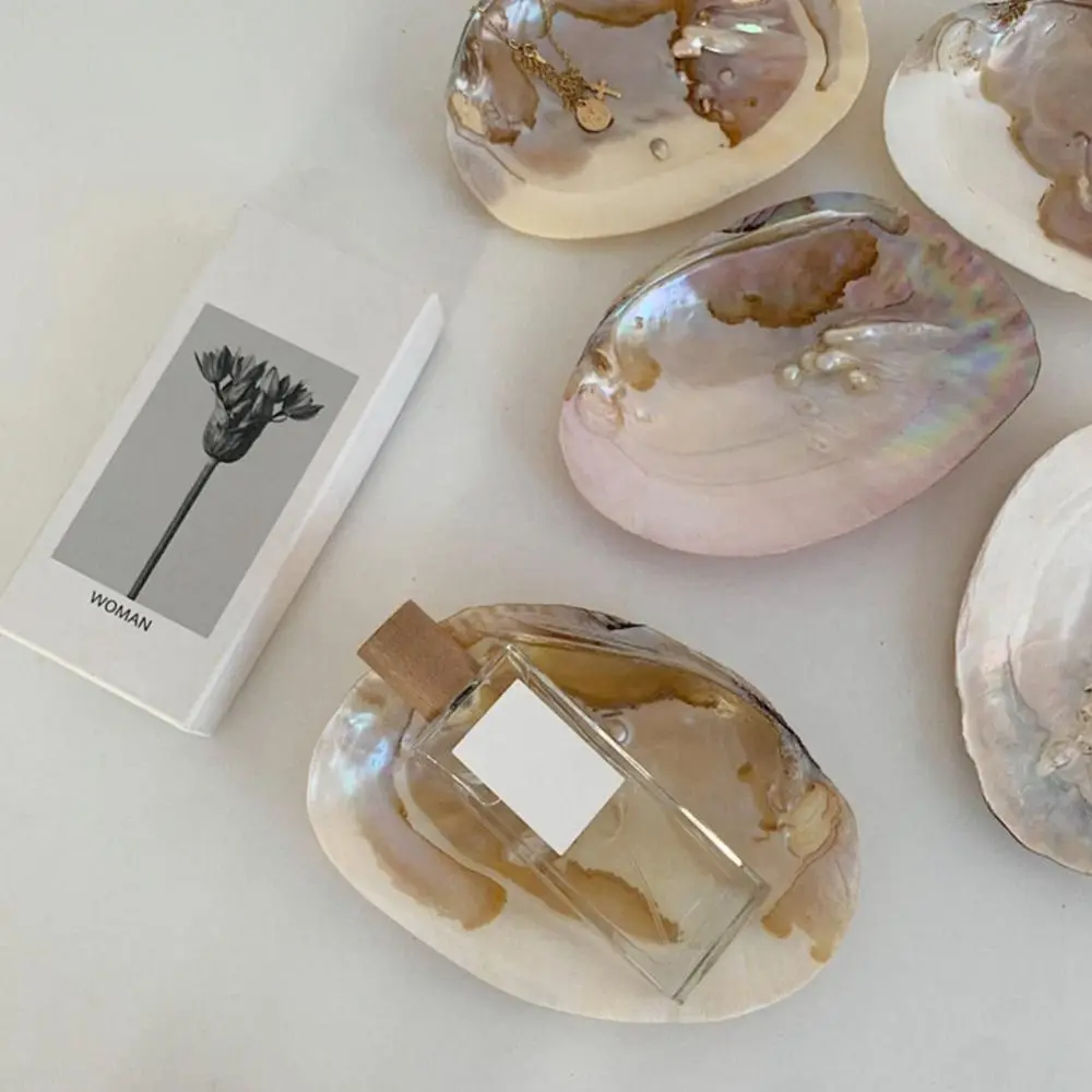 Retro-Decorative-Multifunctional-Pretty-Delicate-Shell-Shape-Storage ...