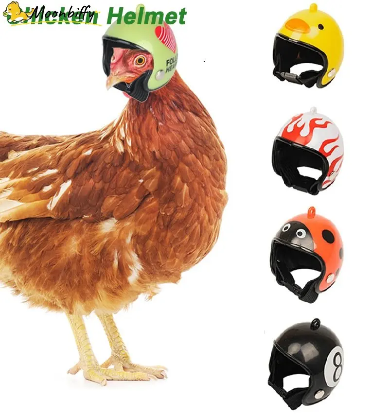 1pcs-Chicken-Helmet-Fuuny-Hat-Hen-Pet-Protective-Gear-Sunscreen-Rain ...