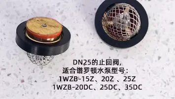 Store Home Products Summer Sale Feedback