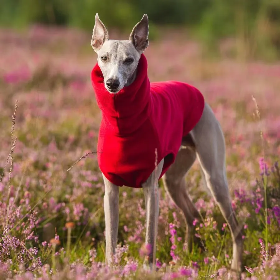 Winter-Fleece-Whippet-Vest-Italian-Greyhound-Clothes-Turtleneck-Dog ...