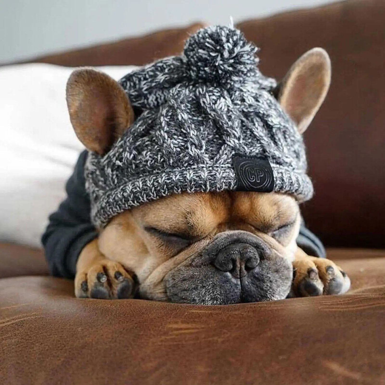 Winter Warm Dog Hats Windproof Knitting French Bulldog Hat For Dogs ...