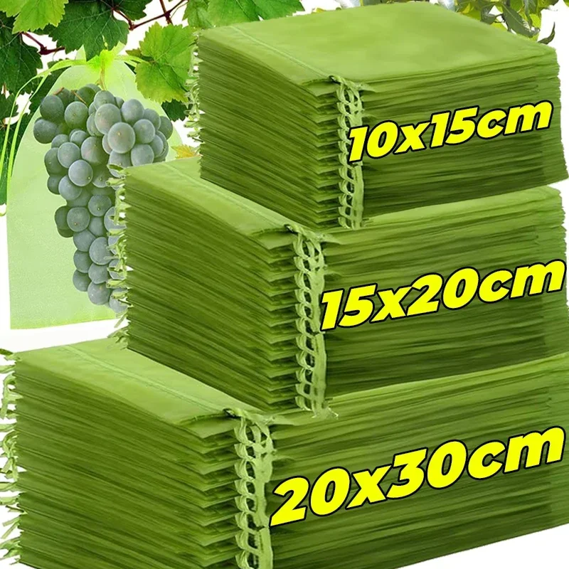 S578b7589e444476392f72f8ae30b1d25q.jpg