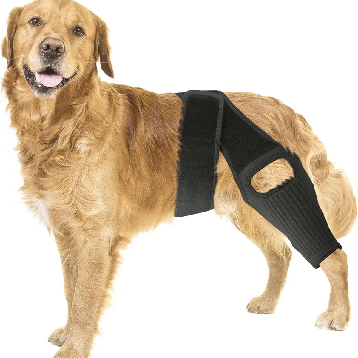 Adjustable-Large-Dog-Knee-Brace-for-Support-and-Recovery-from-Cruciate ...