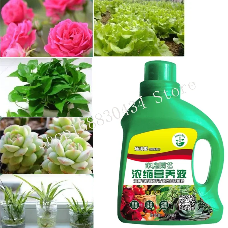 500ML-Hydroponic-Plant-Nutrient-Solution-Fertilizer-Bamboo-Flower ...