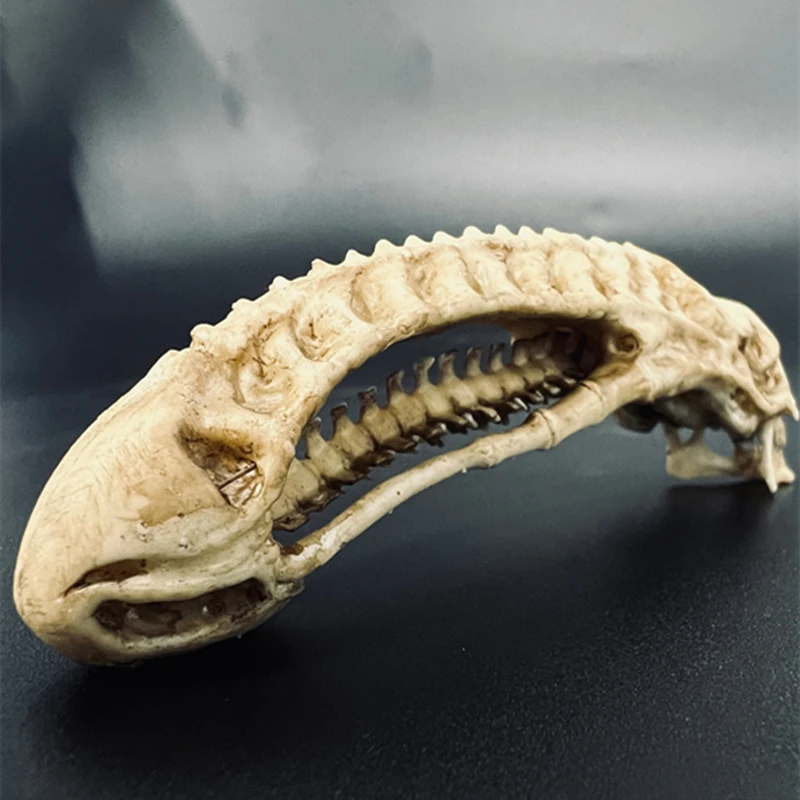 3D Printed Xenomorph Alien Skull – Brutalitees