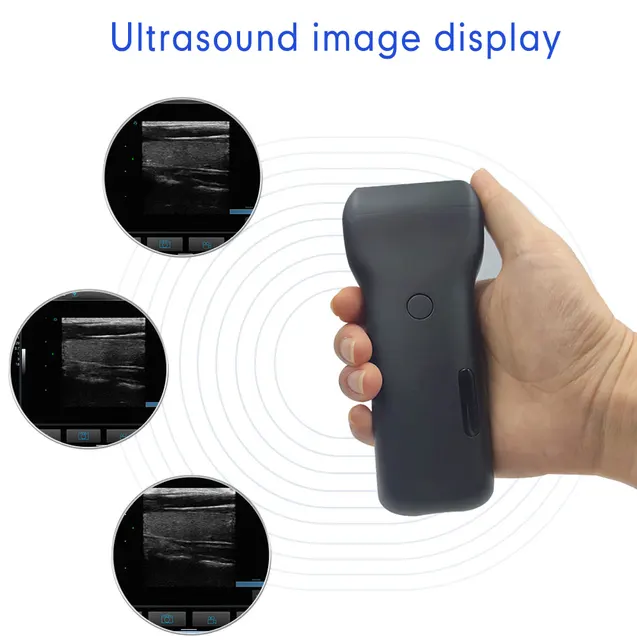 Store Home Products Sale Feedback