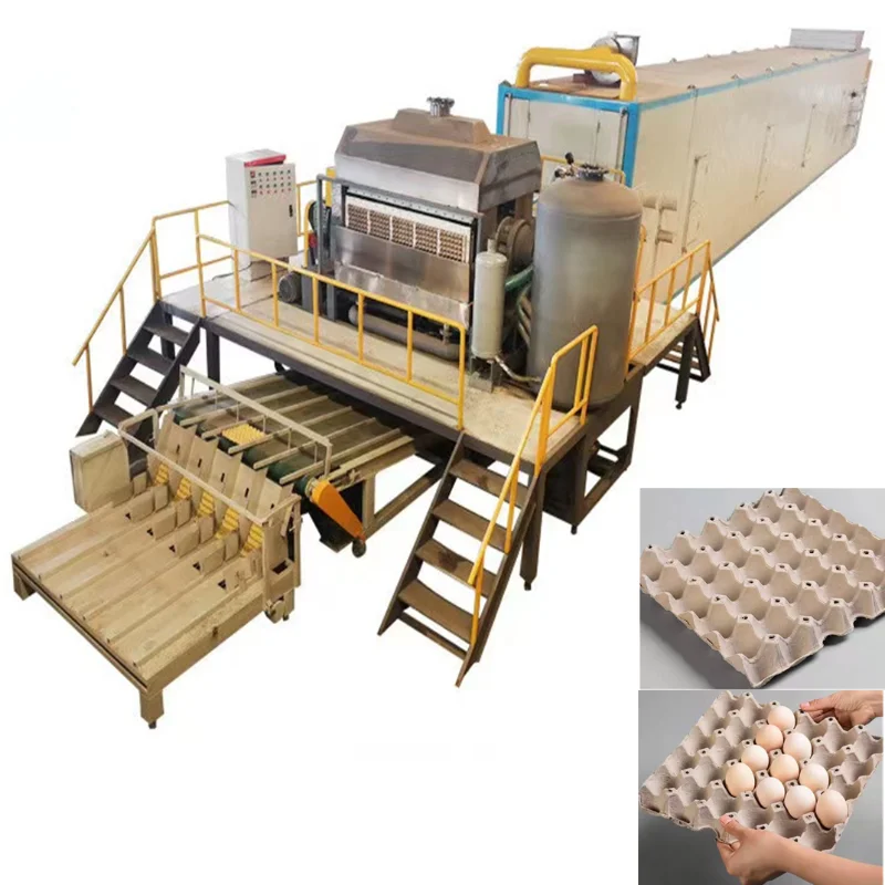 Small-Business-Waste-Paper-Recycling-Egg-Carton-Box-Egg-Tray-Making ...