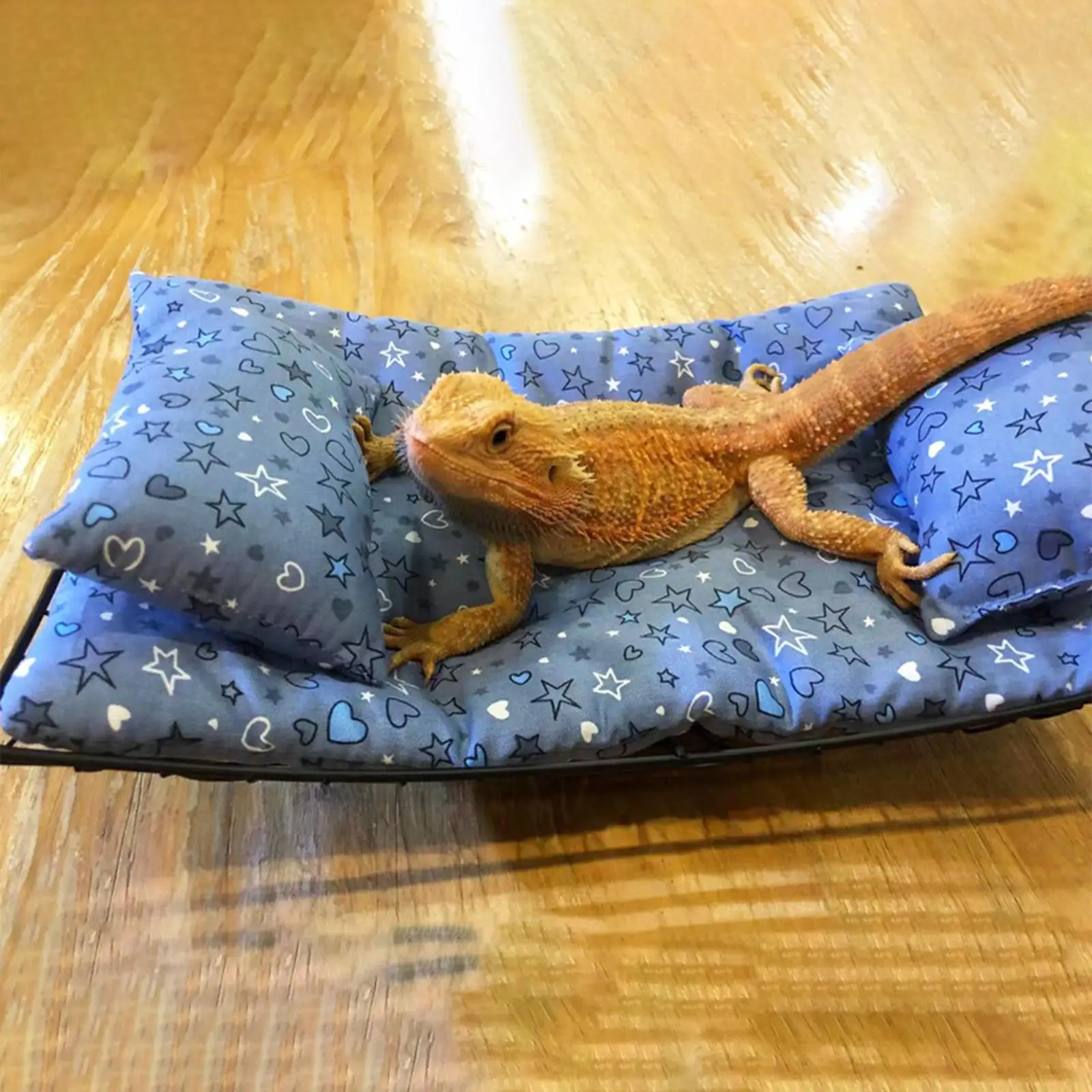 Leopard Gecko Sleeping