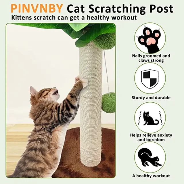 Cat Scratching Post for Cute Kittens Scratch Post 15 inch cat ...