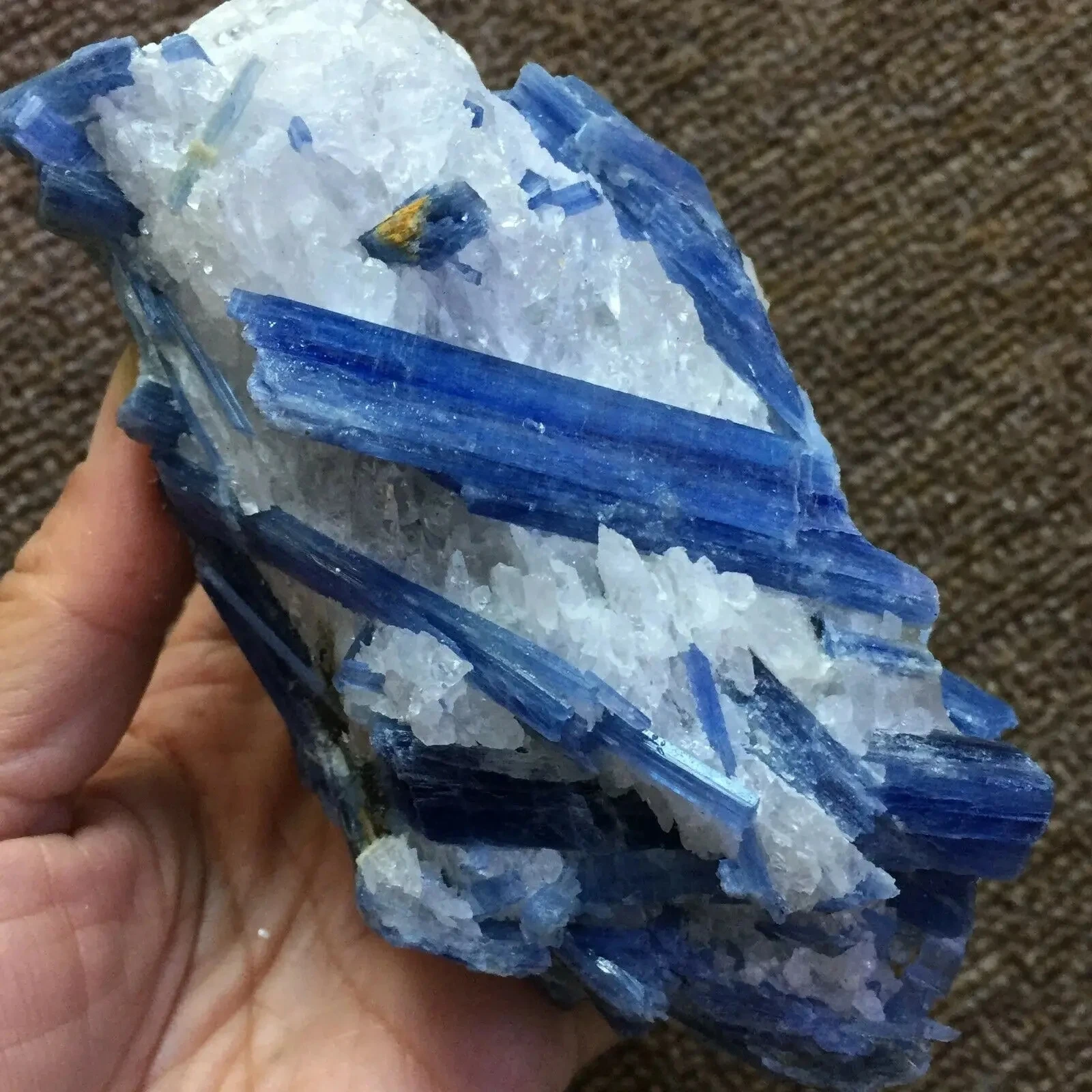 Rare-Blue-Crystal-Natural-Kyanite-Rough-Gem-stone-mineral-Specimen ...