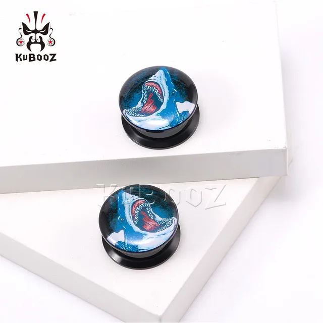 Ear Tunnels Plugs Stainless Steel & Acrylic Ear Tunnel Plugs - 00G ...