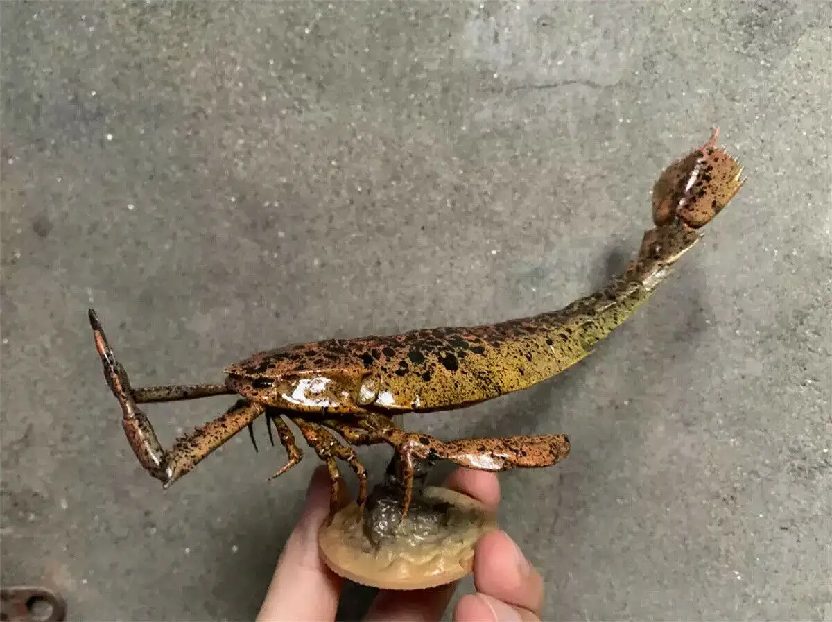 Jaekelopterus Rhenaniae The Giant Sea Scorpion