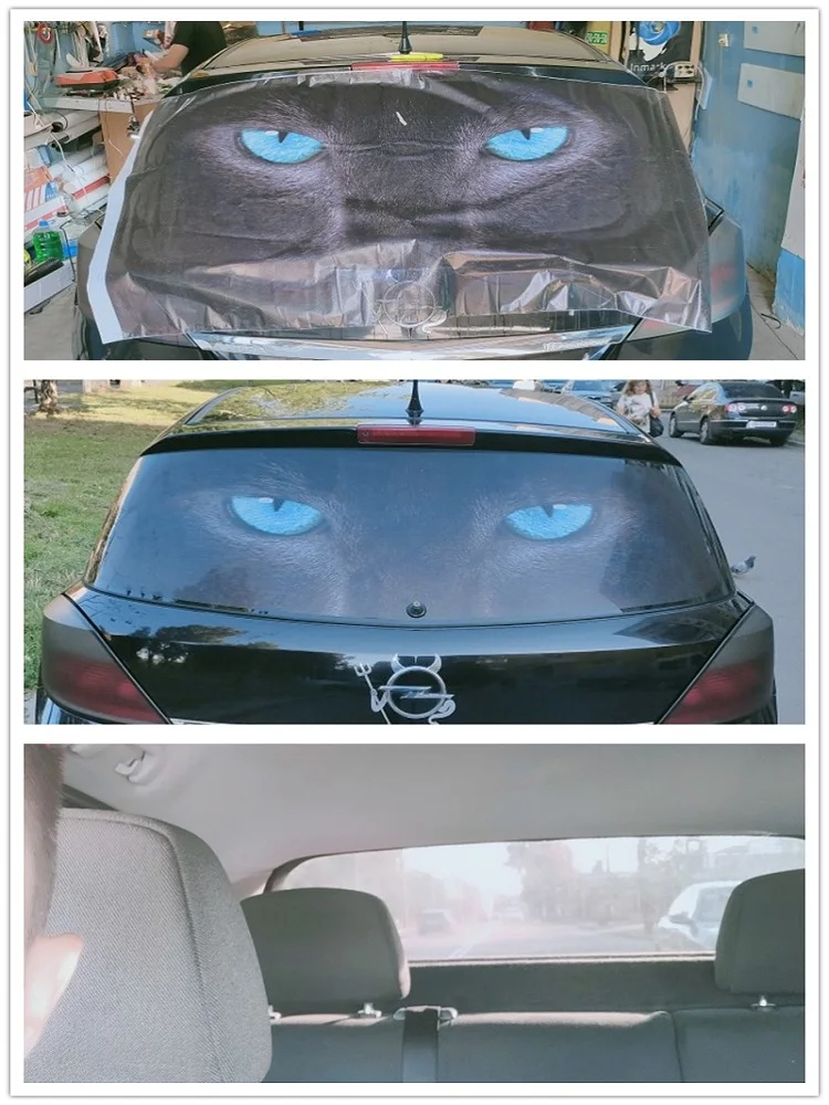 Car Back Windshield
