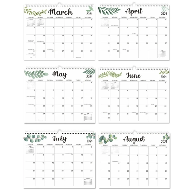 DXAB 2024 Wall Calendar Wired Monthly Calendar (January 2024 - June ...