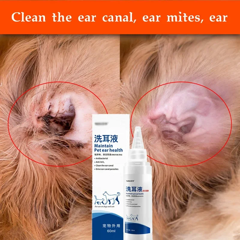 ¿Qué es la otitis bacteriana y cómo tratarla con gotas para perros?