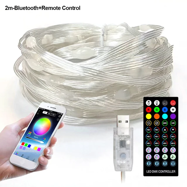 10/20M USB LED String Lights RGB with Smart Bluetooth App Control Decor ...