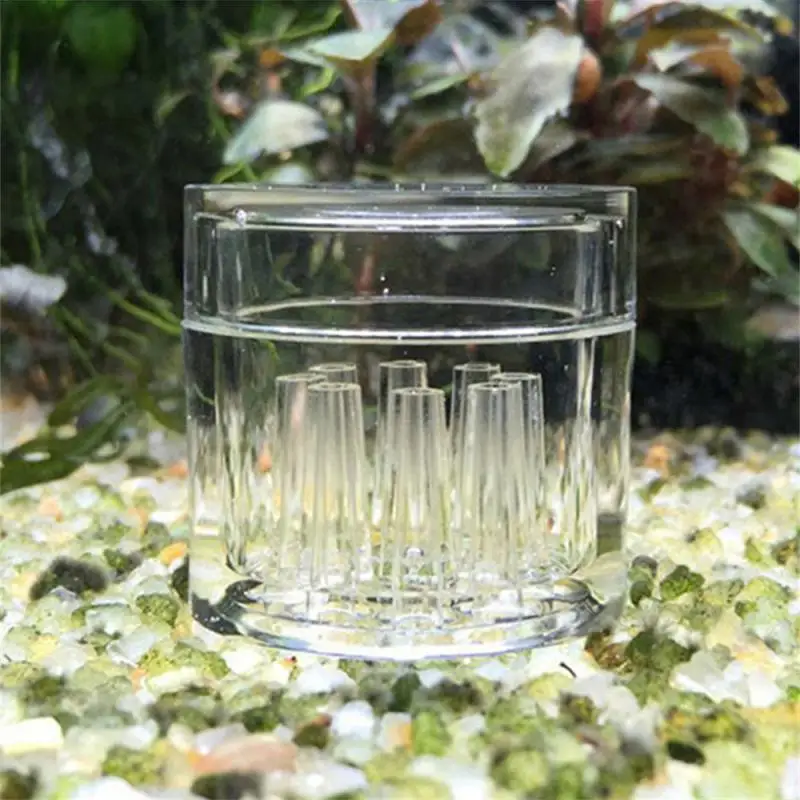 Aquarium-Trap-Convenient-Monitoring-Planarian-Removal-Clean-Aquarium ...