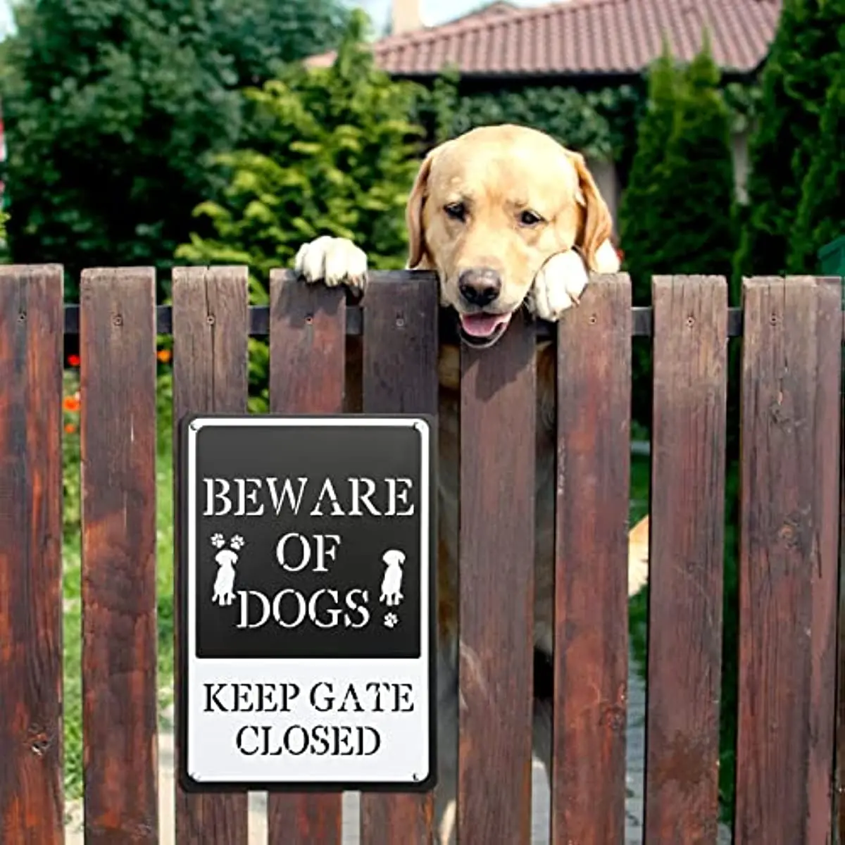 Funny Dog Warning Signs | kom.com.mx