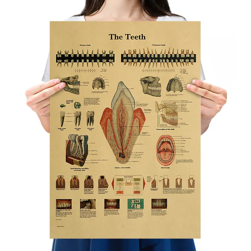 Classic-Anime-Posters-Human-Body-Illustration-Teeth-Retro-Kraft-Paper ...