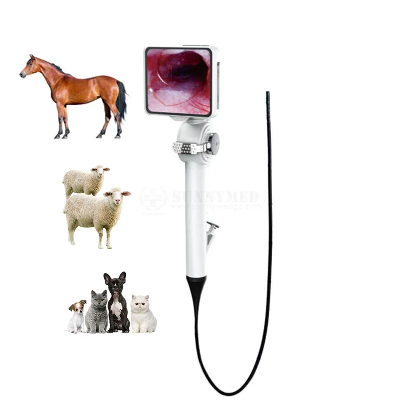SY-P029-3-veterinary-endoscope-for-animals-horse-gastroscope-1500mm ...