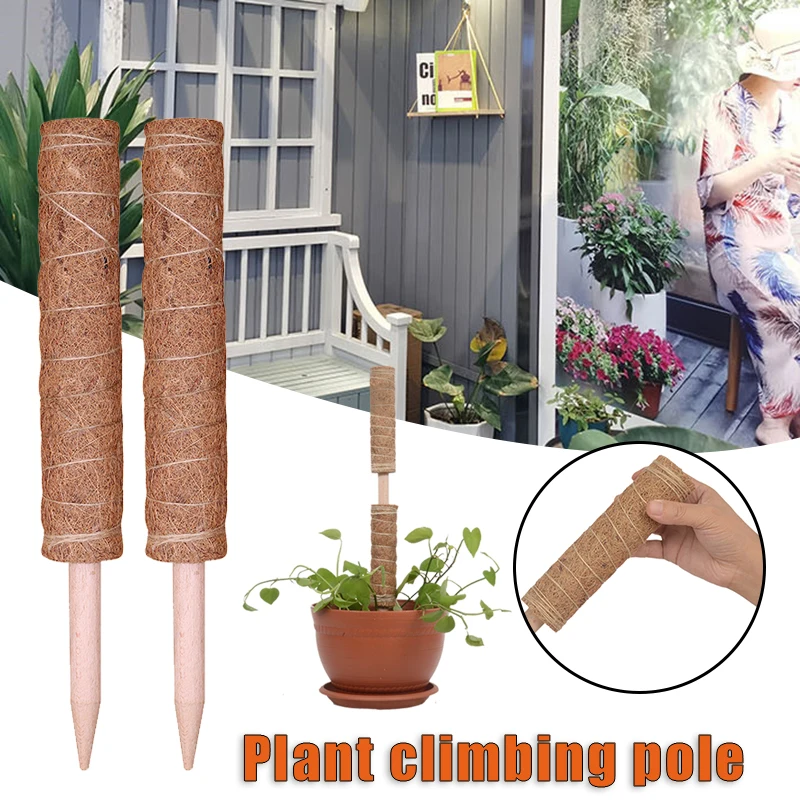 Climbing-Indoor-Plant-Coir-Pole-For-Stand-Plant-Extension-Coconut-Pole ...