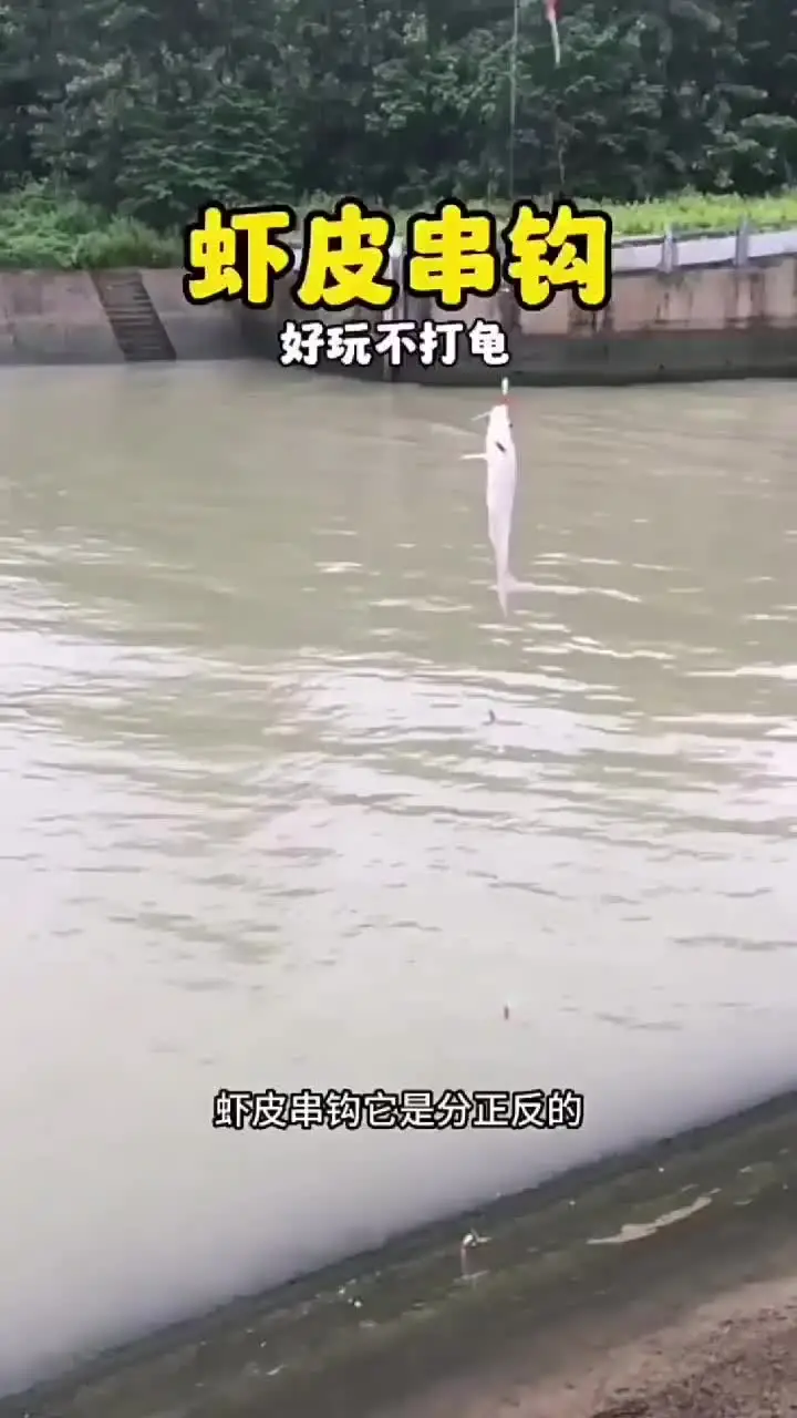 Sabiki Rigs, 2 упаковки, The Time Outdoor | AliExpress