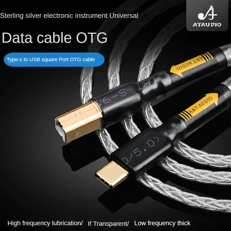 ATAUDIO Hi-end USB Cable Type c to Type b Hifi Stereo Cable Pure Silver ...
