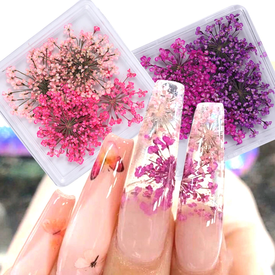 1Box-3D-Nail-Dried-Flower-Manicure-Nail-Art-Decorations-Natural-Dry ...