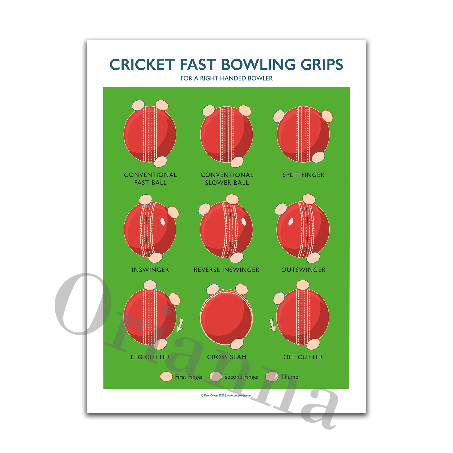 Cricket Field Positions For Fast Bowler
