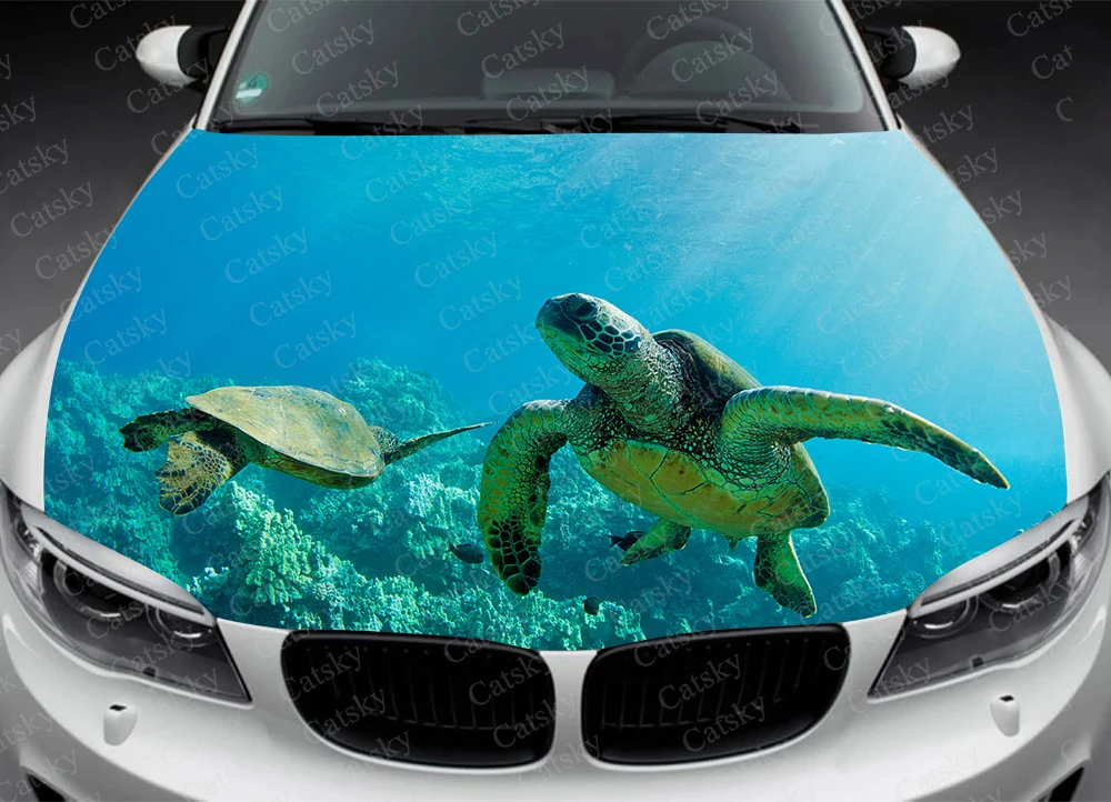 Turtle Car Stickers For Windows