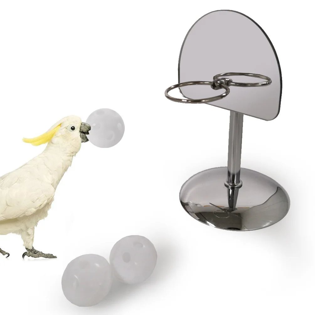 Parrot-Toys-Supplies-Props-Mirror-Shooting-Frame-Metal-Basketball-Frame ...