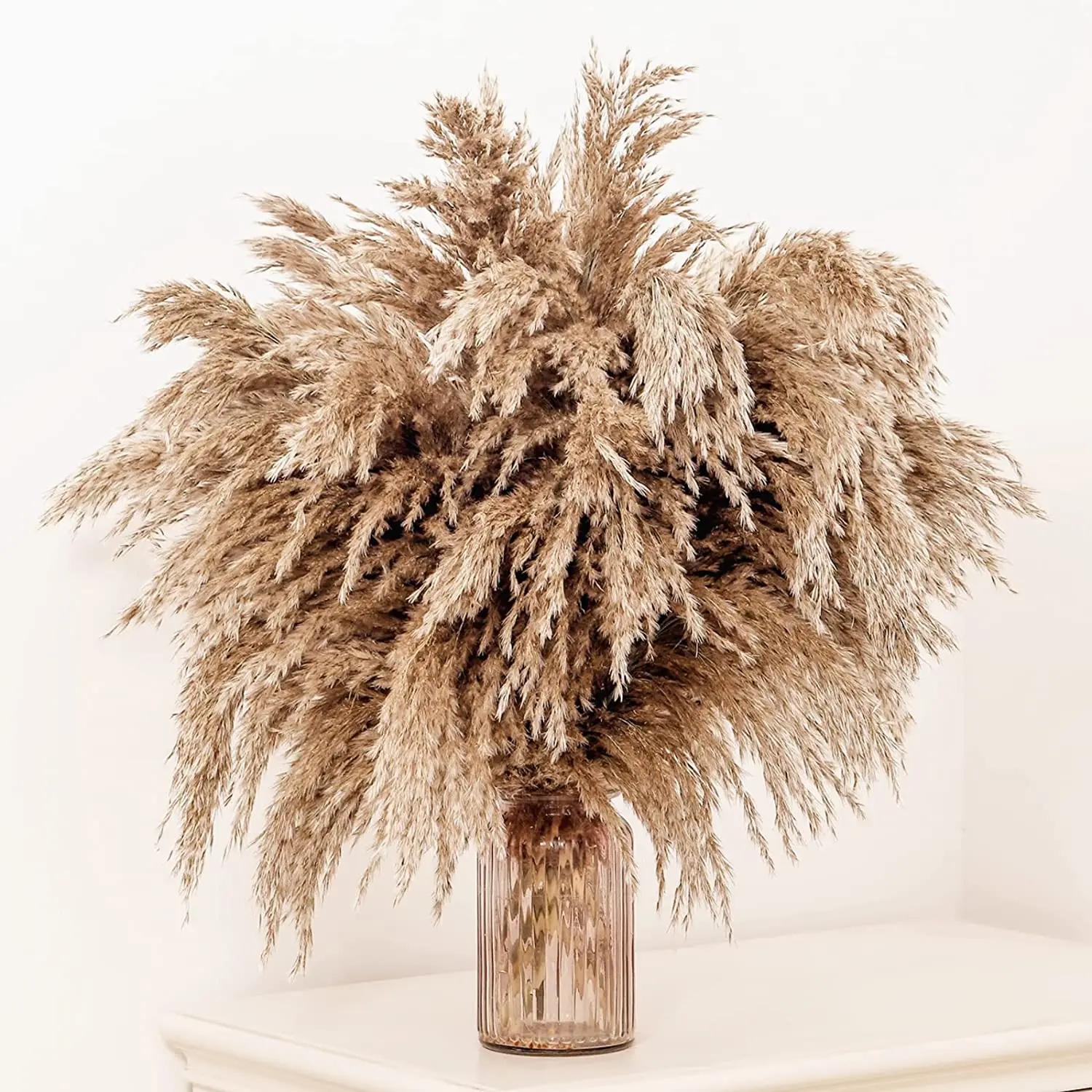 Tall Fluffy Pampas Grass Brown Dry Pompous Grass Decor Wedding Flower ...