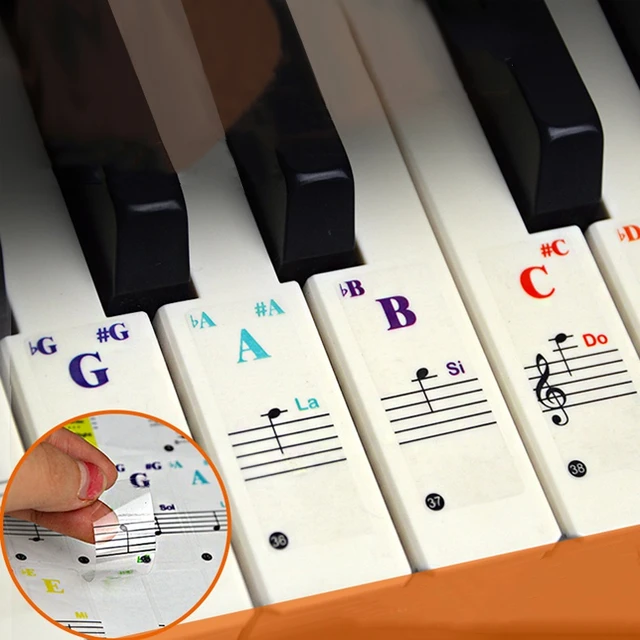 36 Piano Keyboard Notes