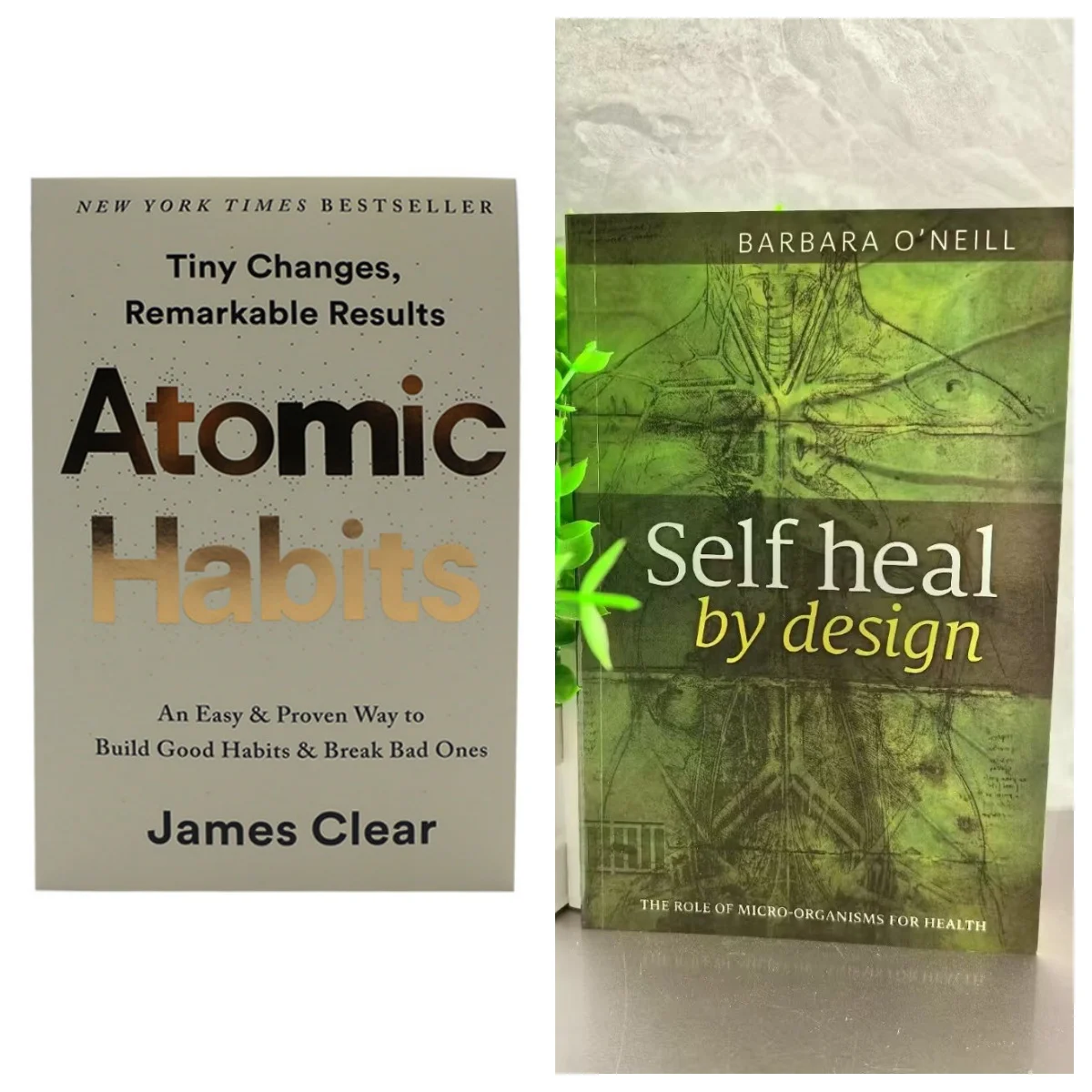 Bview Art 2 Books：Atomic Habits and Self Heal by Design（with a free ...