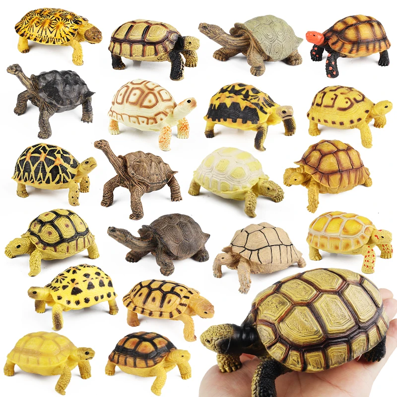 Oenux Sea Life Animals Model Leatherback Tortoise Turtle Growth Cycle ...