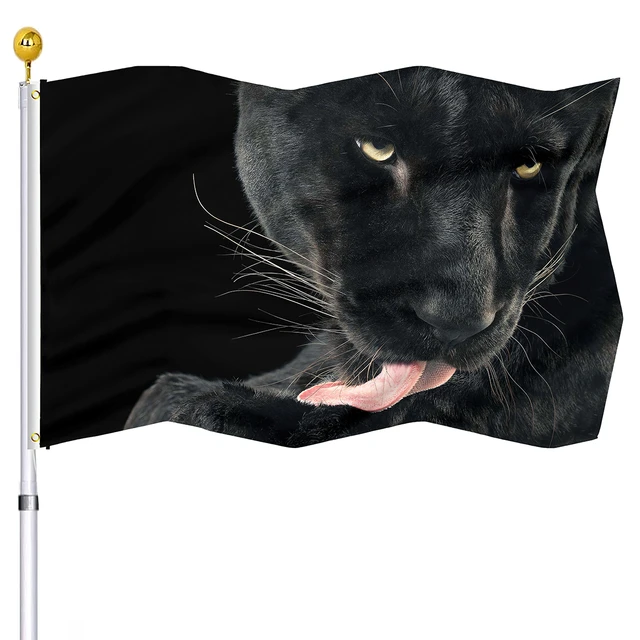 Black Panther Party Flag