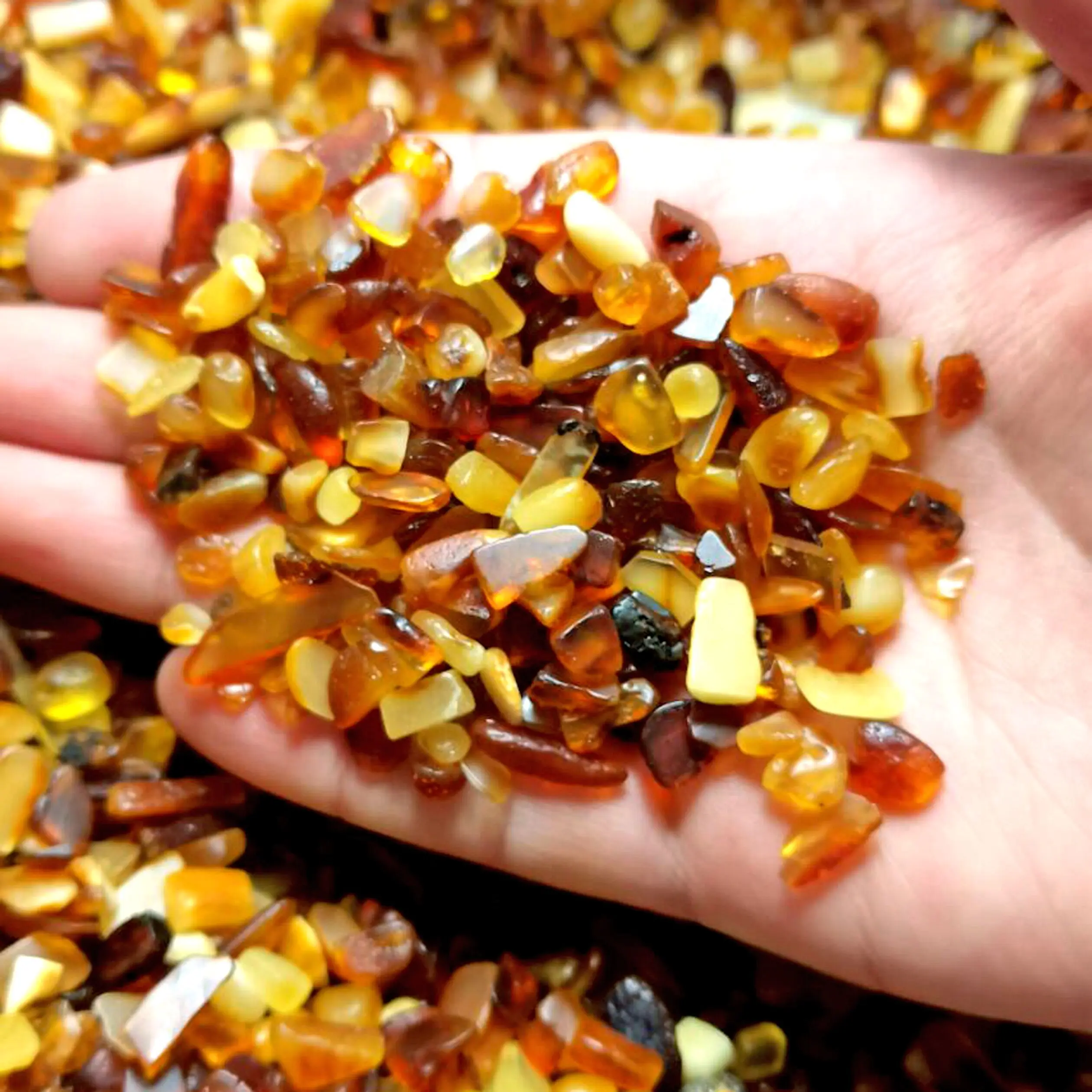 1/4lb SMALL NATURAL BALTIC AMBER STONES - AliExpress 15