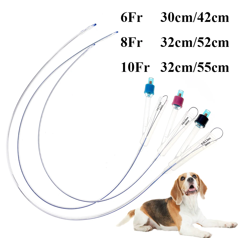 Professional-Canine-Dog-Foley-Double-Ways-Silicone-With-Stylet-Guide ...