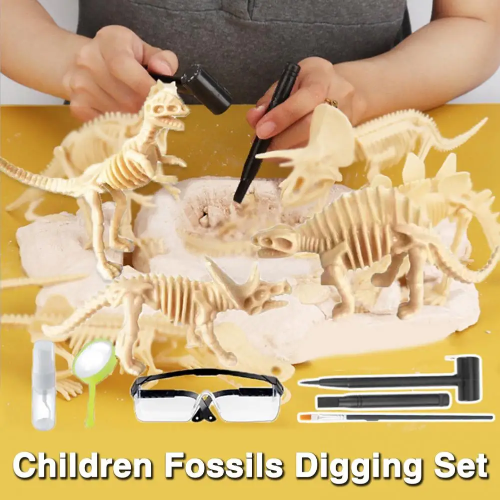 Dinosaur-Fossils-Discovery-Set-Dinosaur-Fossils-Digging-Kit-for-Kids ...